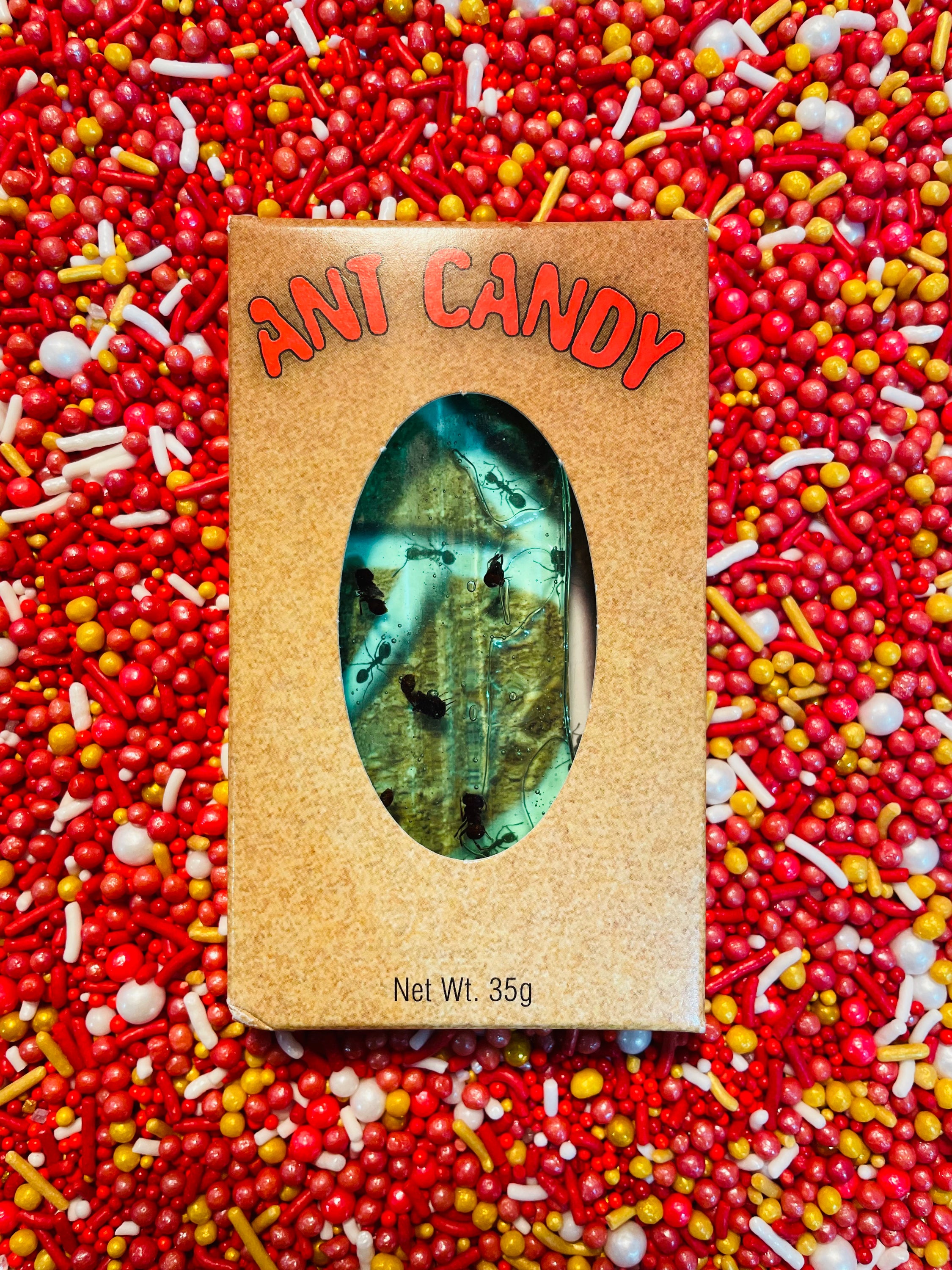 Ant Candy | Sugar Tooth Sweet Shop